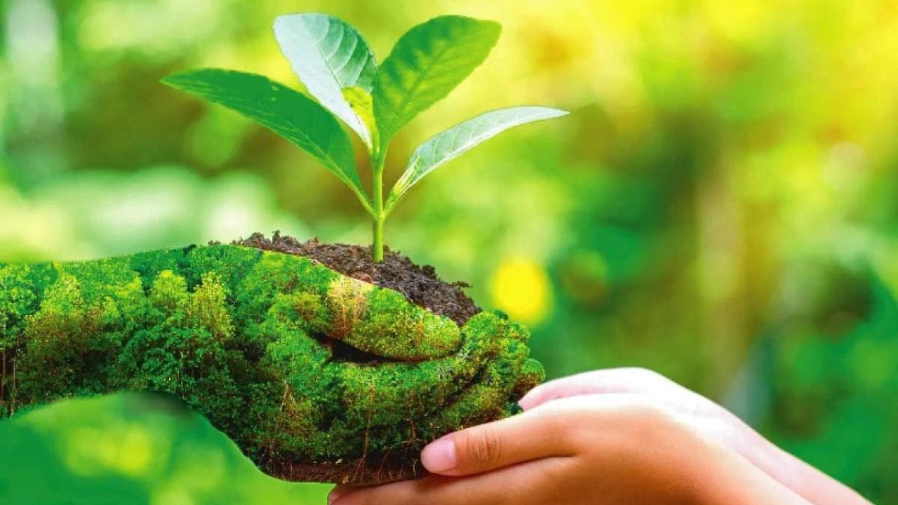 World Environment Day 2022 : ಅಂದು ಪರಿಸರ ಬೆಳಸಿ, ಇಂದು ಪರಿಸರ ಉಳಿಸಿ, ಪರಿಸರ ...