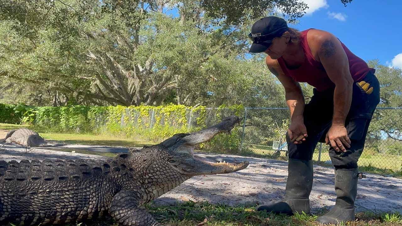 ಮೊಸಳೆಯಿಂದ ಹಲ್ಲೆಗೊಳಗಾದ ಬಳಿಕ ಸುರುಳಿ ಸುತ್ತುಕೊಂಡಿದ್ದ ಸ್ನಾಯುಗಳನ್ನು ...