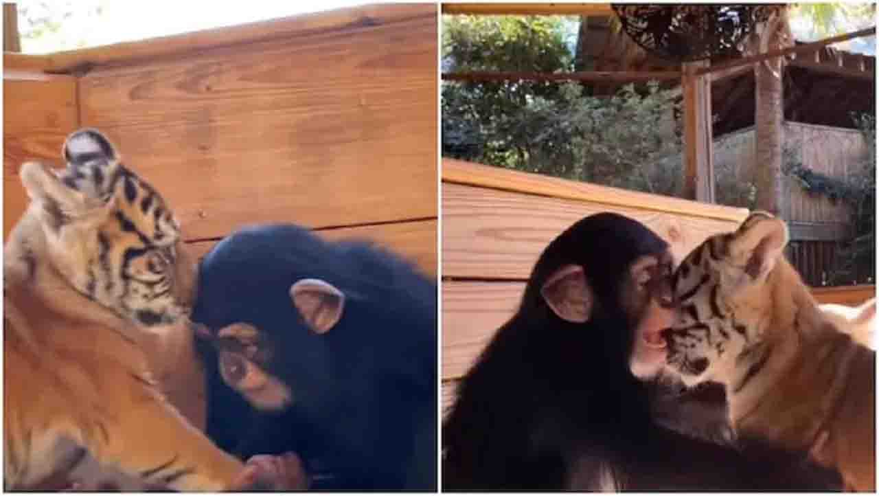 ಎಷ್ಟು ಬಡದಾಡ್ತೀರೋ, ನಮ್ಮನ್ನು ನೋಡಿಯಾದರೂ ಕಲೀರಿ - Kannada News | Baby ...