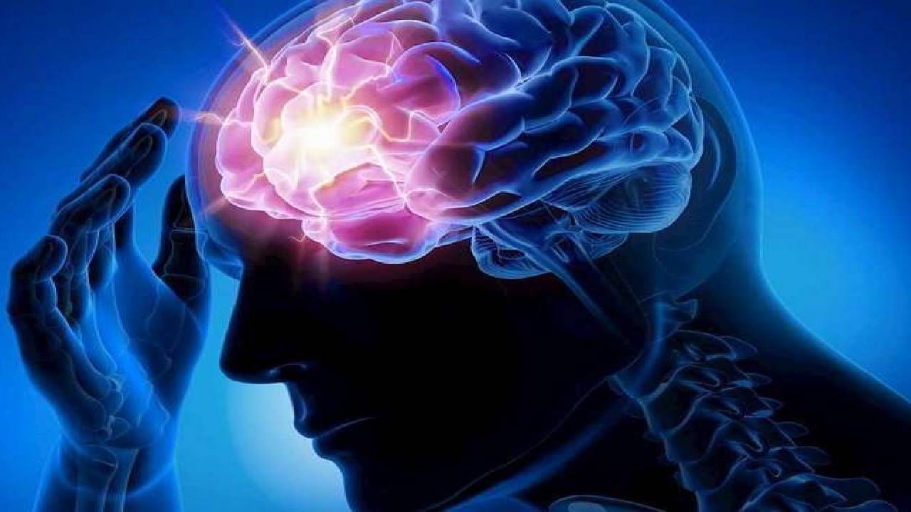 National Epilepsy Day 2022: ಯಾವ ವಯಸ್ಸಿನವರಲ್ಲಿ ಈ ಮೂರ್ಛೆ ರೋಗ ಕಾಯಿಲೆ ... National Epilepsy Day 2022: ಯಾವ ವಯಸ್ಸಿನವರಲ್ಲಿ ಈ ಮೂರ್ಛೆ ರೋಗ ಕಾಯಿಲೆ ...