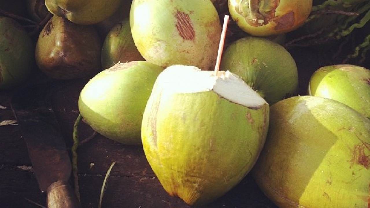 Rotten Coconut Water: ಒಂದು ತಿಂಗಳು ಫ್ರಿಡ್ಜ್ ನಲ್ಲಿಟ್ಟಿದ್ದ ಎಳನೀರು ಕುಡಿದ ...