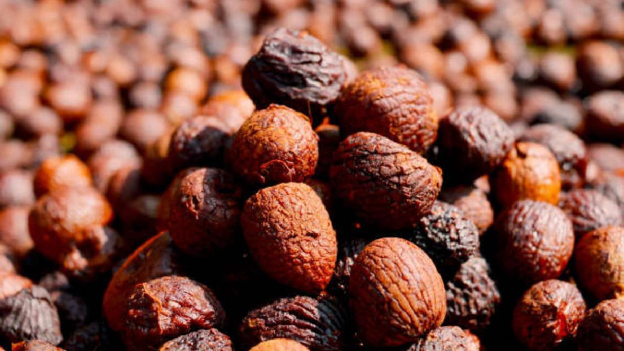 Areca Nut Price: ಇಂದಿನ ಅಡಿಕೆ ಮಾರುಕಟ್ಟೆ ಧಾರಣೆ, ಎಲ್ಲೆಲ್ಲಿ ಎಷ್ಟಿದೆ ...