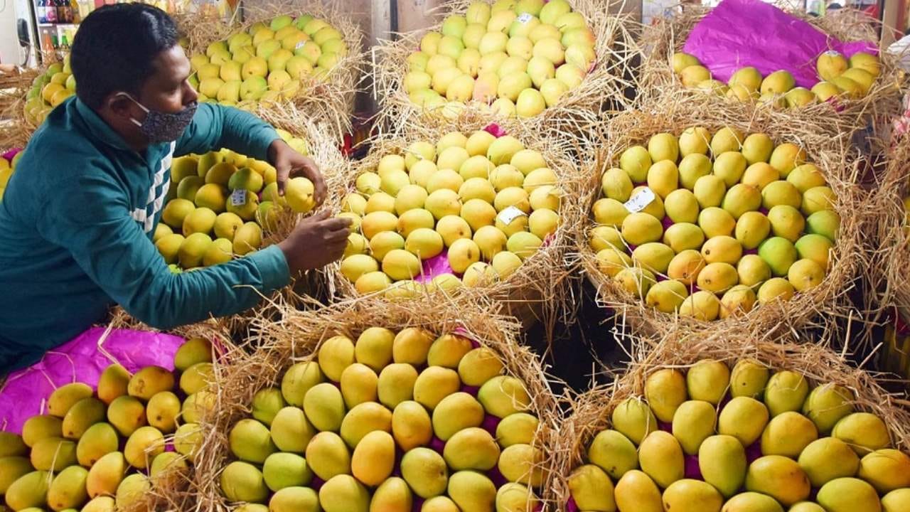 Mango Price: ಮಾವು ಪ್ರಿಯರಿಗೆ ಕಹಿ ಸುದ್ದಿ, ಈ ಬಾರಿ ಬೆಲೆ ದುಬಾರಿ: ದರ ಏರಿಕೆಯ ...