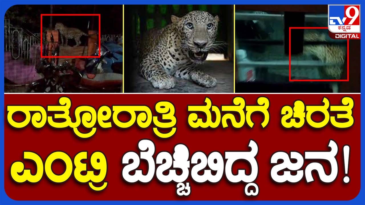 Leopard spotted in Kolar: ಕೋಲಾರ ಬಳಿಯಿರುವ ಗ್ರಾಮದ ಮನೆಯೊಂದನ್ನು ಪ್ರವೇಶಿಸಿದ ಚಿರತೆ, ಆತಂಕದಲ್ಲಿ ...