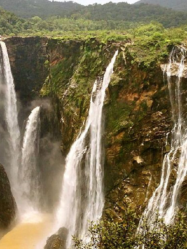 Jog Falls: ಪ್ರವಾಸಿಗರ ಕಣ್ಮನ ತಣಿಸುವ ಜೋಗದ ವೈಯ್ಯಾರ – Kannada News | Monsoon ...