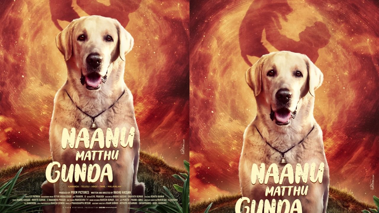 'ನಾನು ಮತ್ತು ಗುಂಡ 2' ಮೈಸೂರಿನ ಸುತ್ತ ಭರದಿಂದ ಚಿತ್ರೀಕರಣ: ಈ ಬಾರಿಯ ಕತೆಯೇನು ...