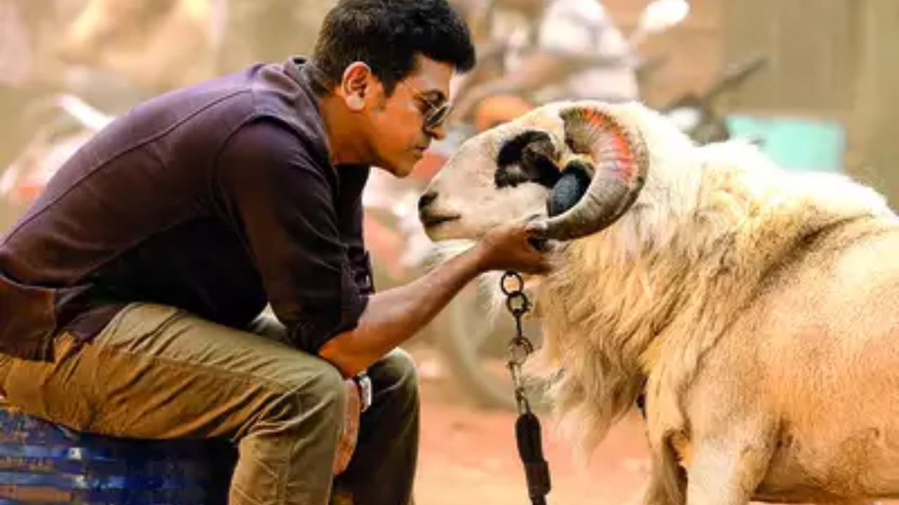 'ಟಗರು 2' ಶುರು ಮಾಡೋದು ಯಾವಾಗ? ಶಿವಣ್ಣ ಏನಂದರು? - Kannada News | Shiva Rajkumar Starrer Tagaru 2 ...