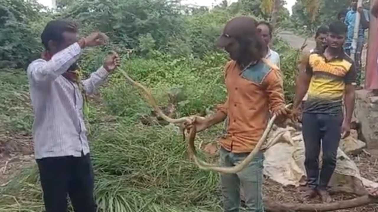 ನಾಗರ ಪಂಚಮಿ: 15 ಅಡಿ ಉದ್ದದ ಹಾವು ಪ್ರತ್ಯಕ್ಷ, ಆತಂಕಗೊಂಡ ಕುಟುಂಬಸ್ಥರು - Kannada ...