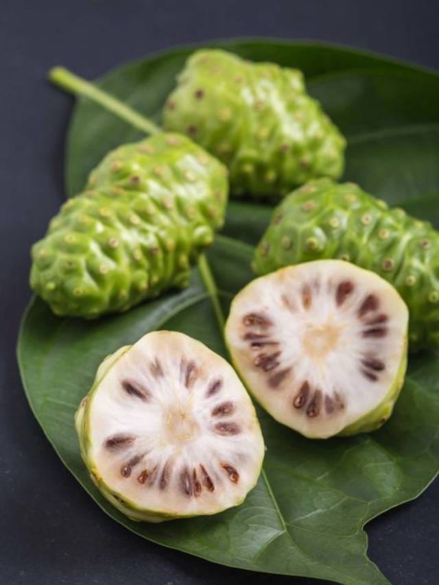 Noni Fruit: ನೋಣಿ ಹಣ್ಣಿನ ಬಗ್ಗೆ ಕೇಳಿದ್ದೀರಾ? ಮಾಹಿತಿ ಇಲ್ಲಿದೆ | TV9 Kannada