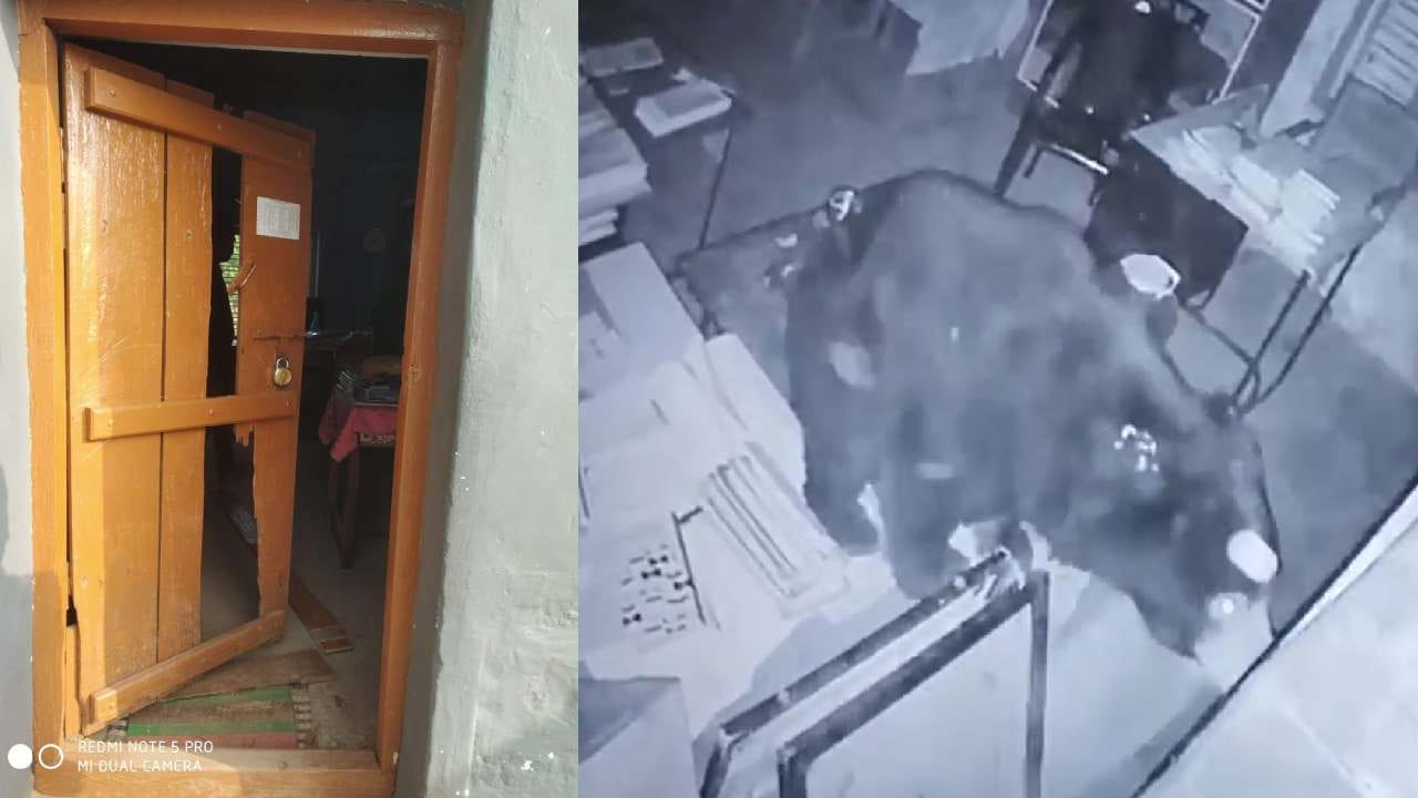 ಚಾಮರಾಜನಗರ: ಶಾಲೆಗೆ ಬಂದ ಕರಡಿ, ಶಿಕ್ಷಕರ ವಿಶ್ರಾಂತಿ ಕೊಠಡಿಗೂ ಎಂಟ್ರಿಕೊಟ್ಟು ...