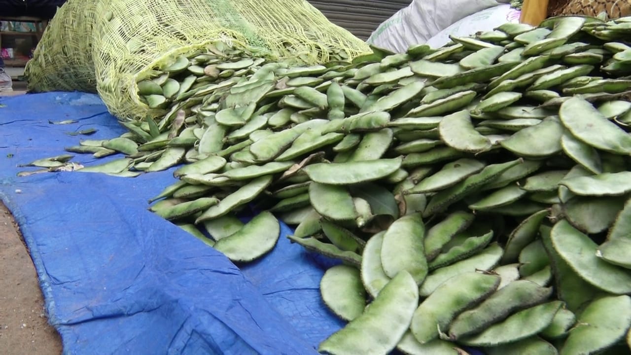 ಹರಡುತ್ತಿದೆ ನಾಟಿ ಅವರೆ ಸೊಗಡು ಎಲ್ಲೆಲ್ಲೂ... ಕೋಲಾರದ ಬೆಟ್ಟ ಪ್ರದೇಶಗಳಿಂದ ಬರುವ ...