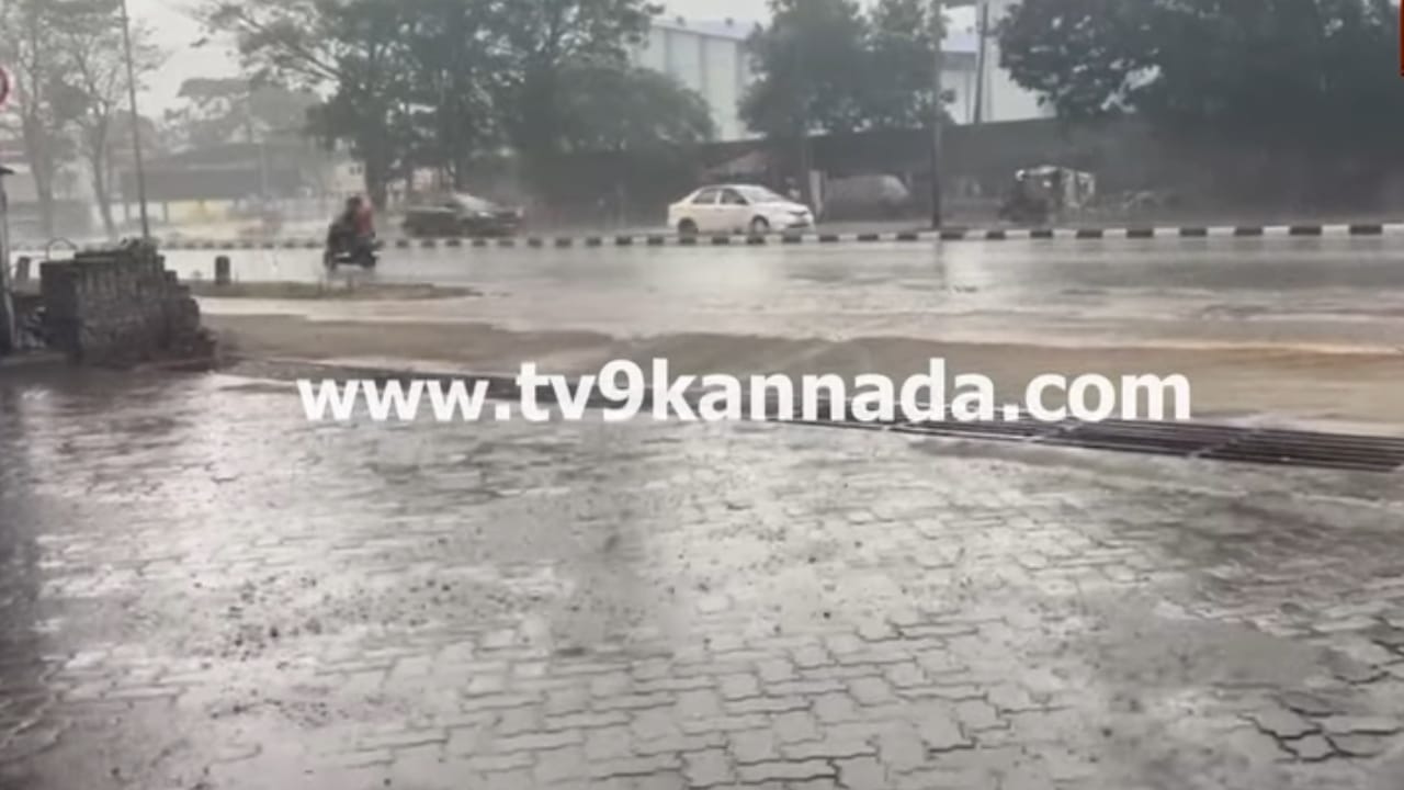Mangaluru Rains: ಮಂಗಳೂರು ಸೇರಿ ದಕ್ಷಿಣ ಕನ್ನಡದ ಹಲವೆಡೆ ತಂಪೆರೆದ ಮಳೆ ...