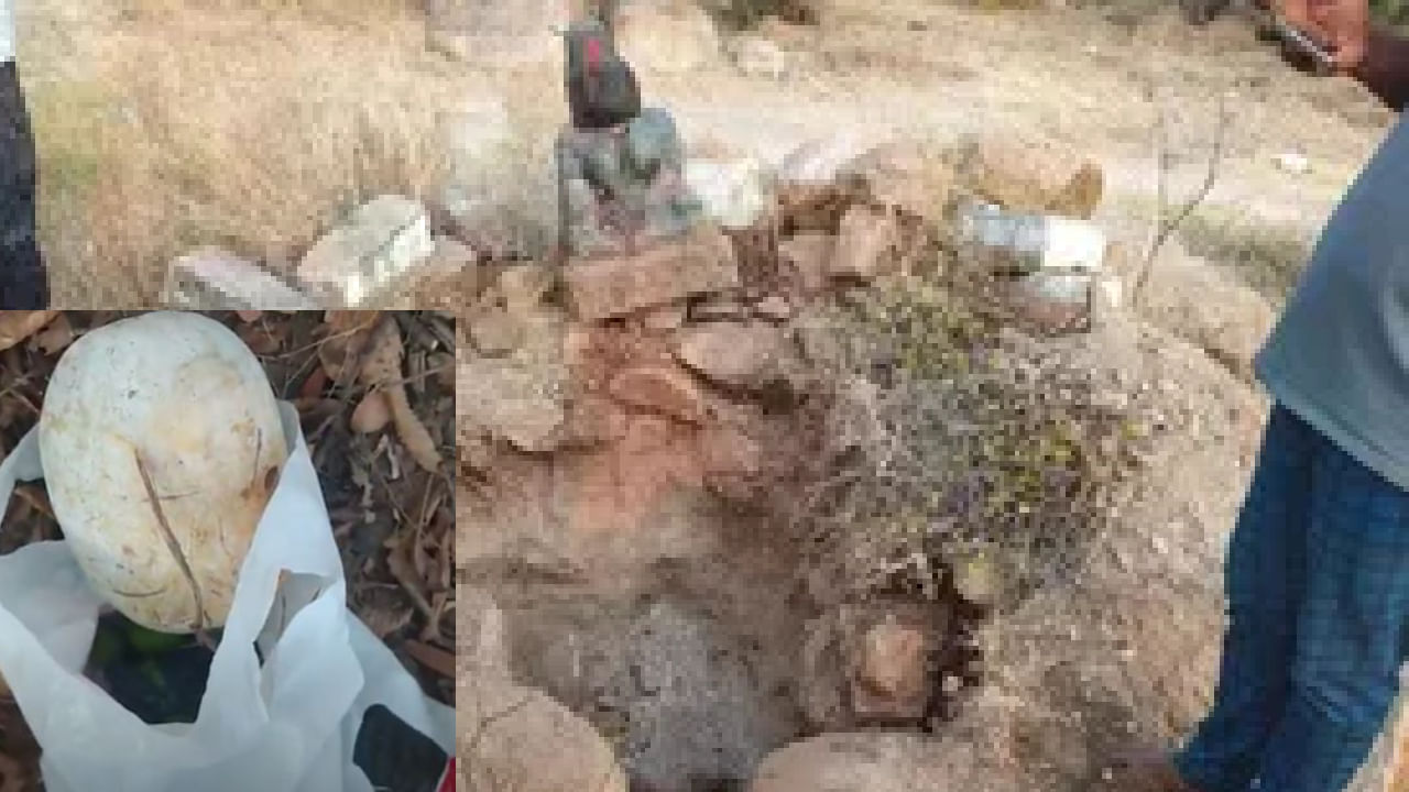 ಇವರು ದೇವಸ್ಥಾನದ ಹಿಂಭಾಗಕ್ಕೆ ಹೋಗಿ ಏನು ಮಾಡಿದ್ದಾರೆ ನೋಡಿ, ವಿಡಿಯೋ ಇದೆ ...