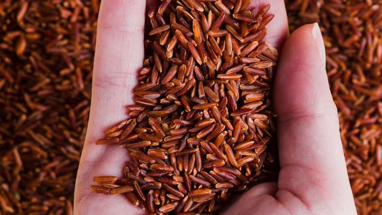 Red Rice: ಕೆಂಪು ಅಕ್ಕಿಯ ಅದ್ಭುತ ಆರೋಗ್ಯ ಪ್ರಯೋಜನಗಳು - Kannada News ...