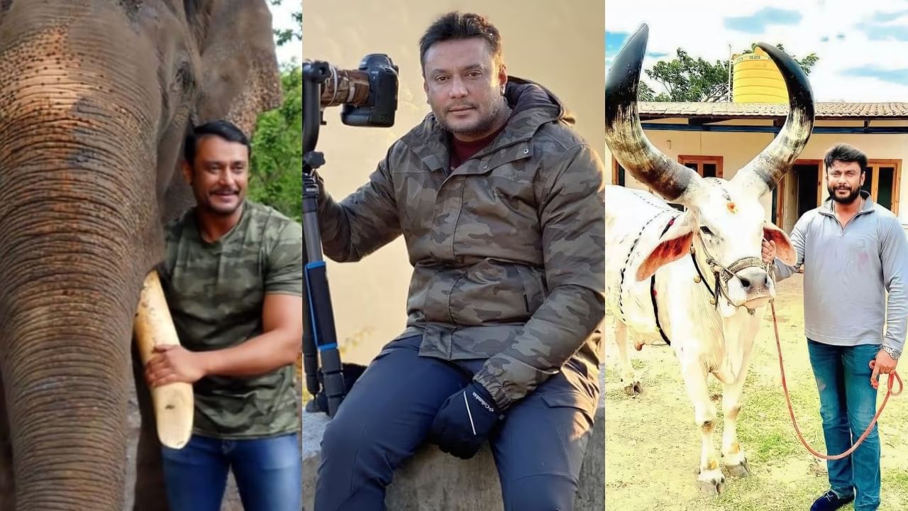 Darshan Thoogudeepa: ನಟ ದರ್ಶನ್ ಗೆ ಅರ್ಜುನನ ಮೇಲೆ ವಿಶೇಷ ಪ್ರೀತಿಯೇಕೆ ...