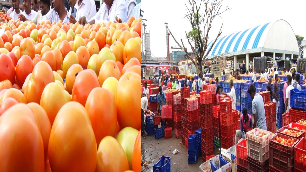 ಹೆಚ್ಚಿದ ಟೊಮೇಟೊ ಬೆಲೆ; ಚಿಂತಾಮಣಿ ಎಪಿಎಂಸಿ ಮಾರುಕಟ್ಟೆಯಲ್ಲಿ ಟೊಮೇಟೊ ಕದ್ದ ಕಳ್ಳರು - Kannada News ...