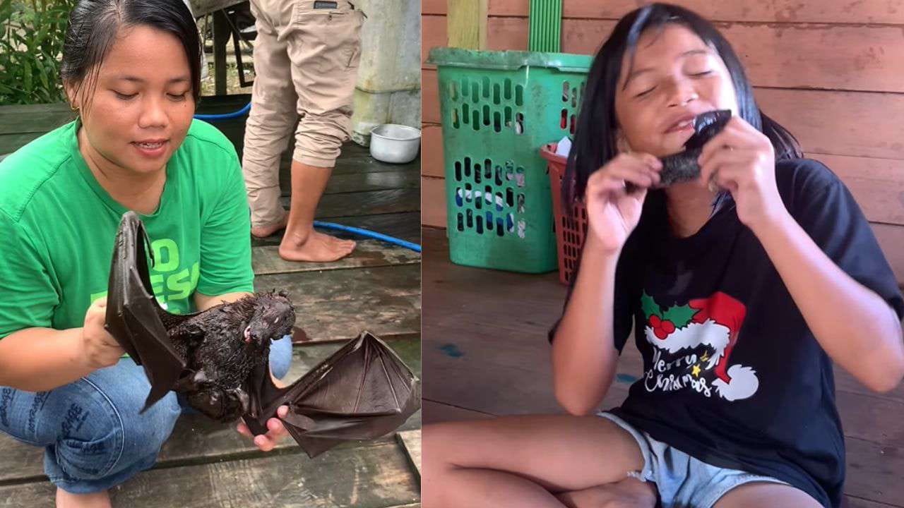 Video Viral: ಬಾವಲಿಯ ಸೂಪ್ ತಯಾರಿಸುತ್ತಿರುವ ಮಹಿಳೆ; ವಿಡಿಯೋ ವೈರಲ್ - Kannada ...