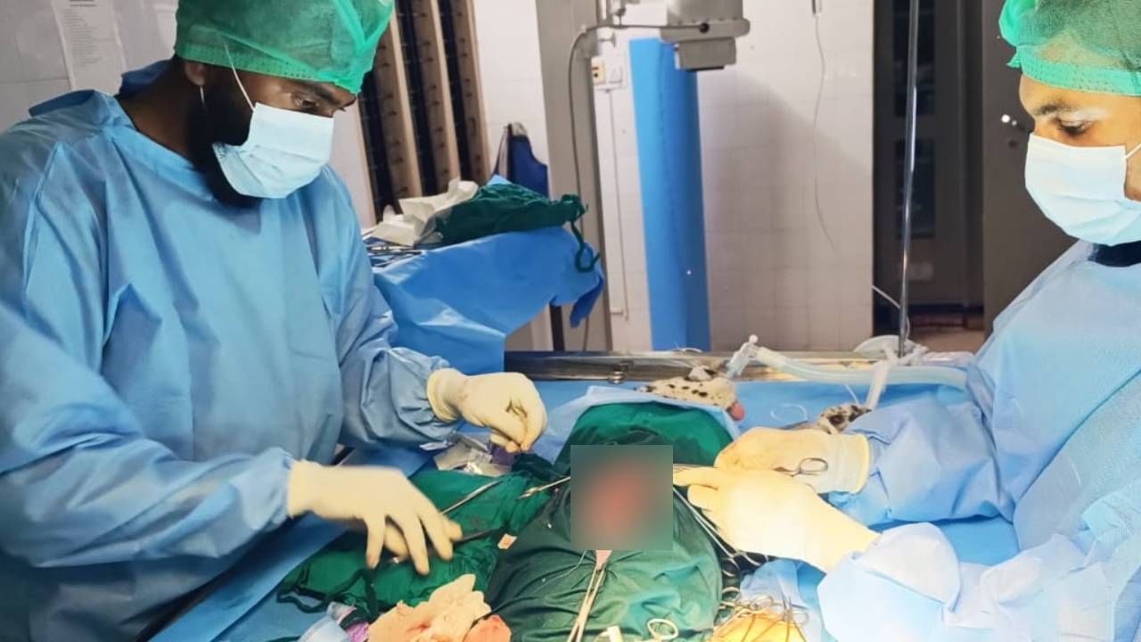 10 ತಿಂಗಳ ಚಿರತೆಗೆ ಶಸ್ತ್ರಚಿಕಿತ್ಸೆ ಮಾಡಿ ಯಶಸ್ವಿಯಾದ ಬನ್ನೇರುಘಟ್ಟ ಉದ್ಯಾನವನದ ವೈದ್ಯರು - Kannada News ...