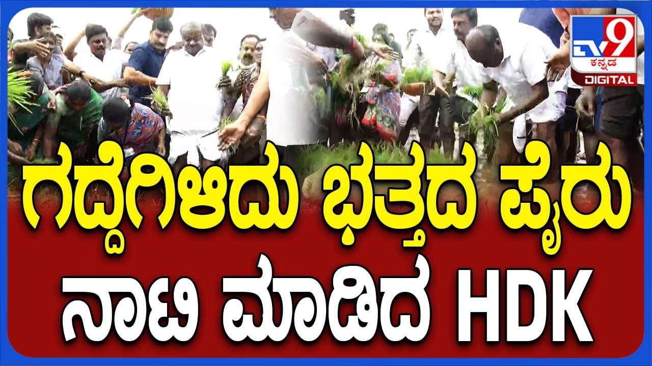 ಪಾಂಡವಪುರ: ಅರಳಕುಪ್ಪೆ ಗ್ರಾಮದಲ್ಲಿ ಭತ್ತ ನಾಟಿ ಮಾಡಿದ ಹೆಚ್ ಡಿ ಕುಮಾರಸ್ವಾಮಿ, ವಿಡಿಯೋ ನೋಡಿ - Kannada News ...