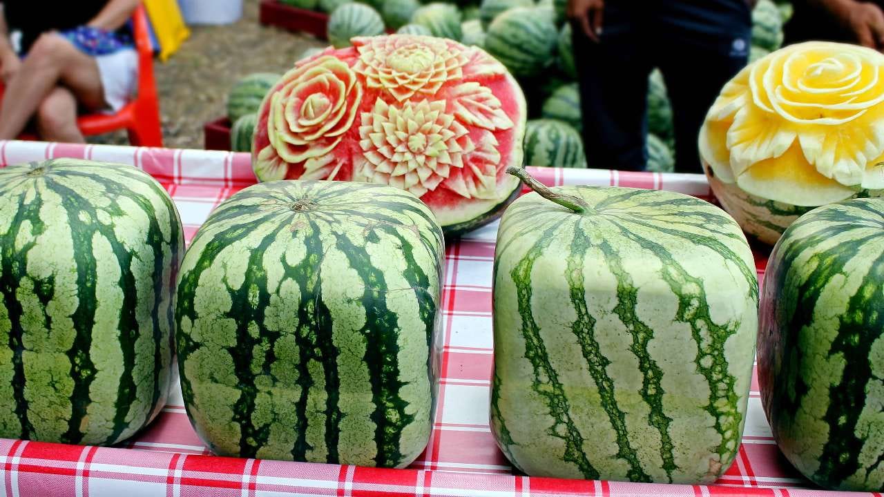 Expensive Fruits: ಲಕ್ಷ ಲಕ್ಷ ಬೆಲೆಬಾಳುವ ವಿಶ್ವದ ಅತ್ಯಂತ ದುಬಾರಿ ಹಣ್ಣುಗಳಿವು ...