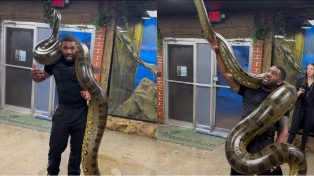 ಬೃಹತ್ ಹೆಬ್ಬಾವನ್ನು ಮೈಗೆಲ್ಲ ಸುತ್ತಿಕೊಂಡ ವಿಡಿಯೋ ನೋಡಿದರೆ ಶಾಕ್ ಆಗೋದು ಗ್ಯಾರಂಟಿ ...