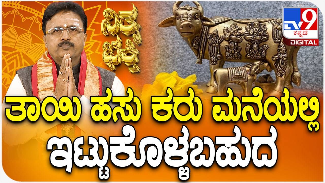 Daily Devotional: ಮನೆಯಲ್ಲಿ ಕಾಮಧೇನು ಸ್ಥಾಪನೆಯ ಪ್ರಯೋಜನ ತಿಳಿಯಿರಿ - Kannada ...