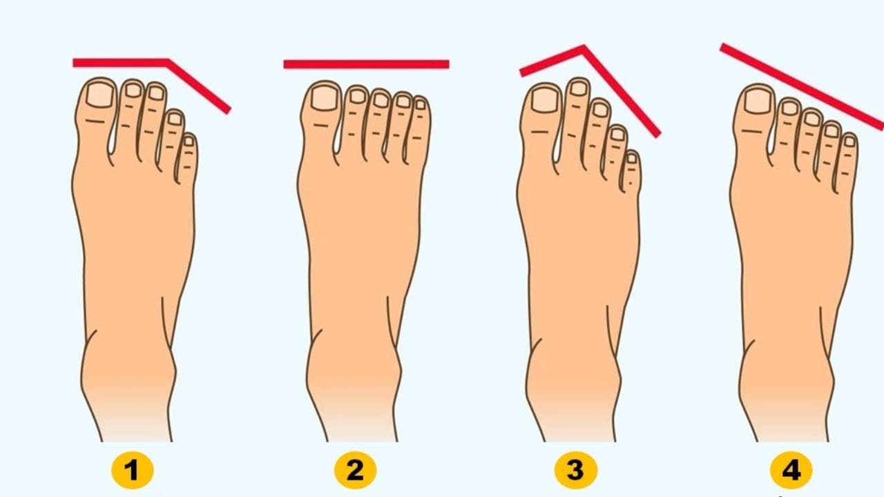 Personality Test : ನಿಮ್ಮ ಕಾಲ್ಬೆರಳುಗಳ ಆಕಾರವೇ ವ್ಯಕ್ತಿತ್ವ ರಿವೀಲ್ ಮಾಡುತ್ತೆ ...