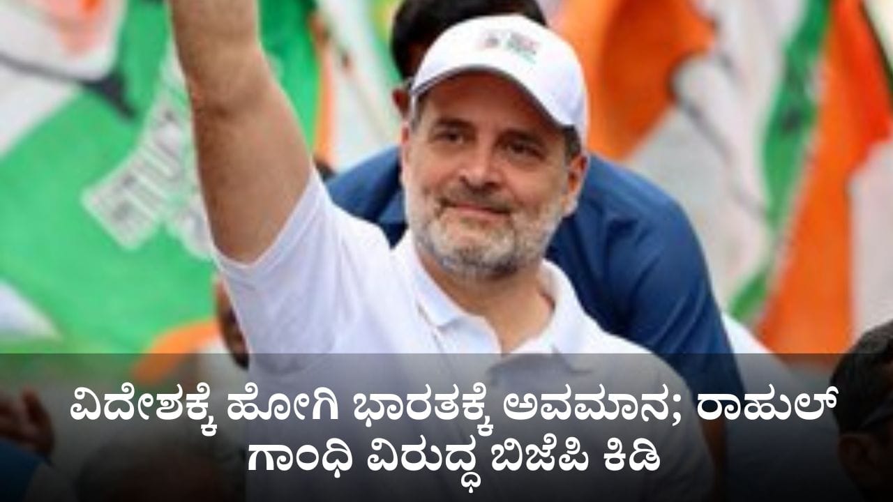 ವಿದೇಶಕ್ಕೆ ಹೋಗಿ ಭಾರತಕ್ಕೆ ಅವಮಾನ; ರಾಹುಲ್ ಗಾಂಧಿ ವಿರುದ್ಧ ಬಿಜೆಪಿ ಕಿಡಿ ...