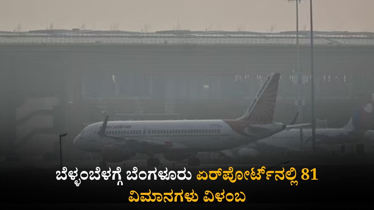 ಮಂಜು ಮುಸುಕಿದ ವಾತಾವರಣ: ಬೆಂಗಳೂರು ವಿಮಾನ ನಿಲ್ದಾಣದಲ್ಲಿ 81 ವಿಮಾನಗಳ ಸಂಚಾರದಲ್ಲಿ ...