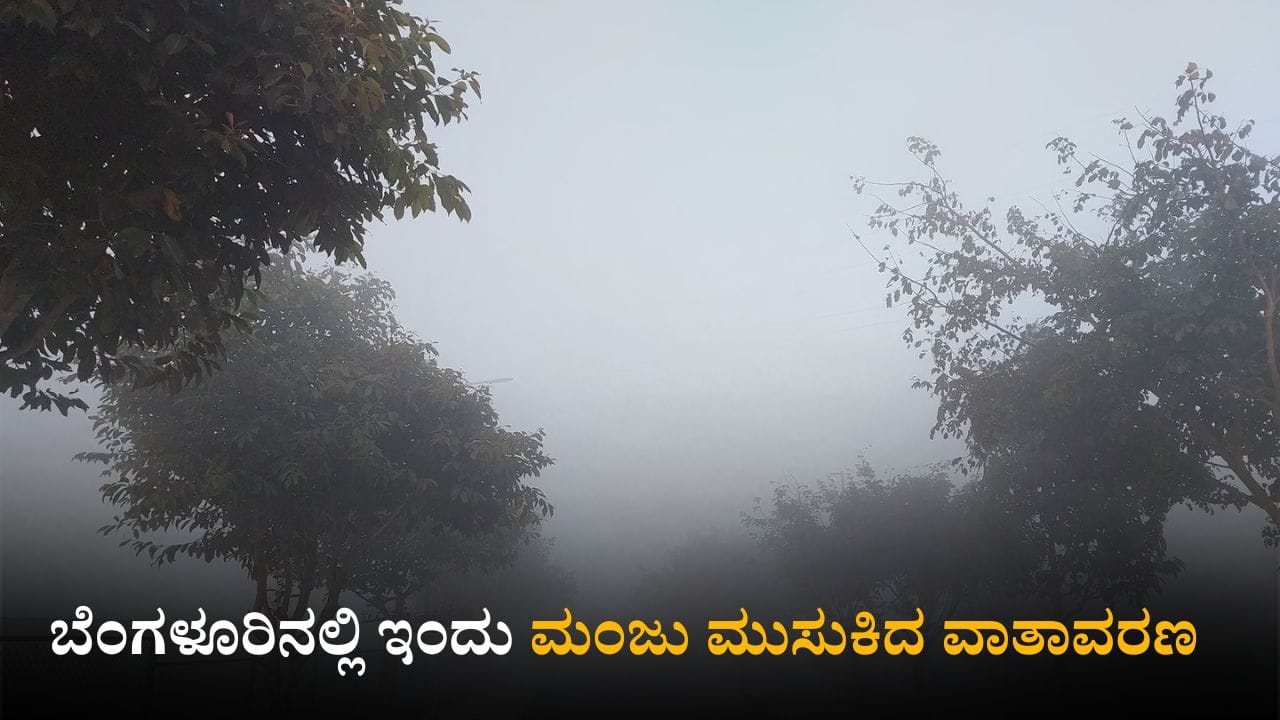 Karnataka Weather Today: ರಾಜ್ಯದ ಹಲವು ಜಿಲ್ಲೆಗಳಲ್ಲಿ ಸಾಧಾರಣ ಮಳೆಯಾಗುವ ...
